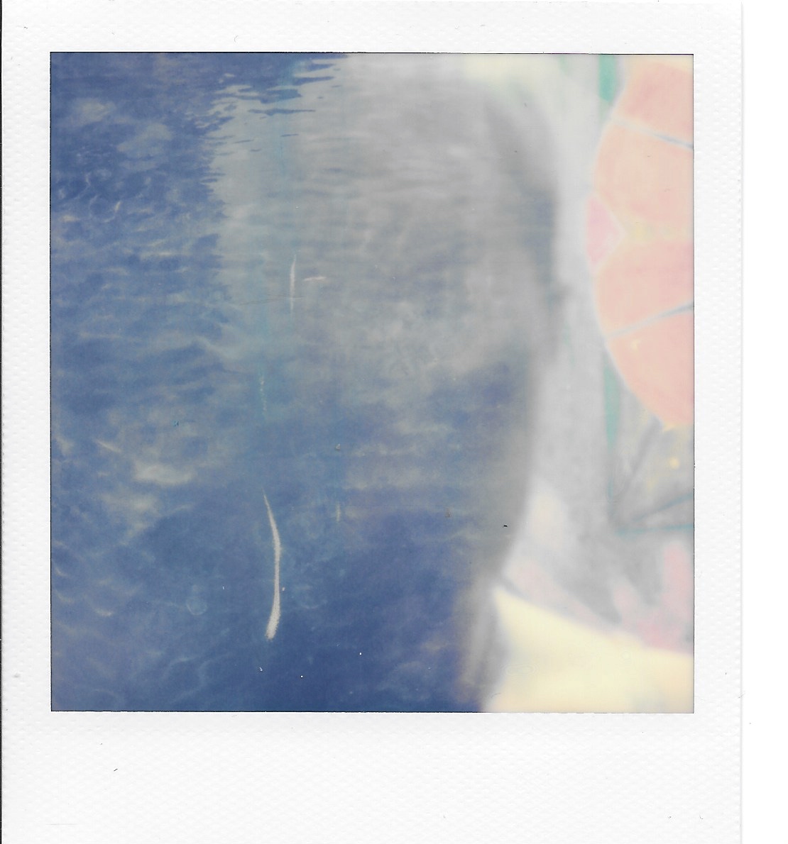 6 Portraits by Addie Tsai – beestung